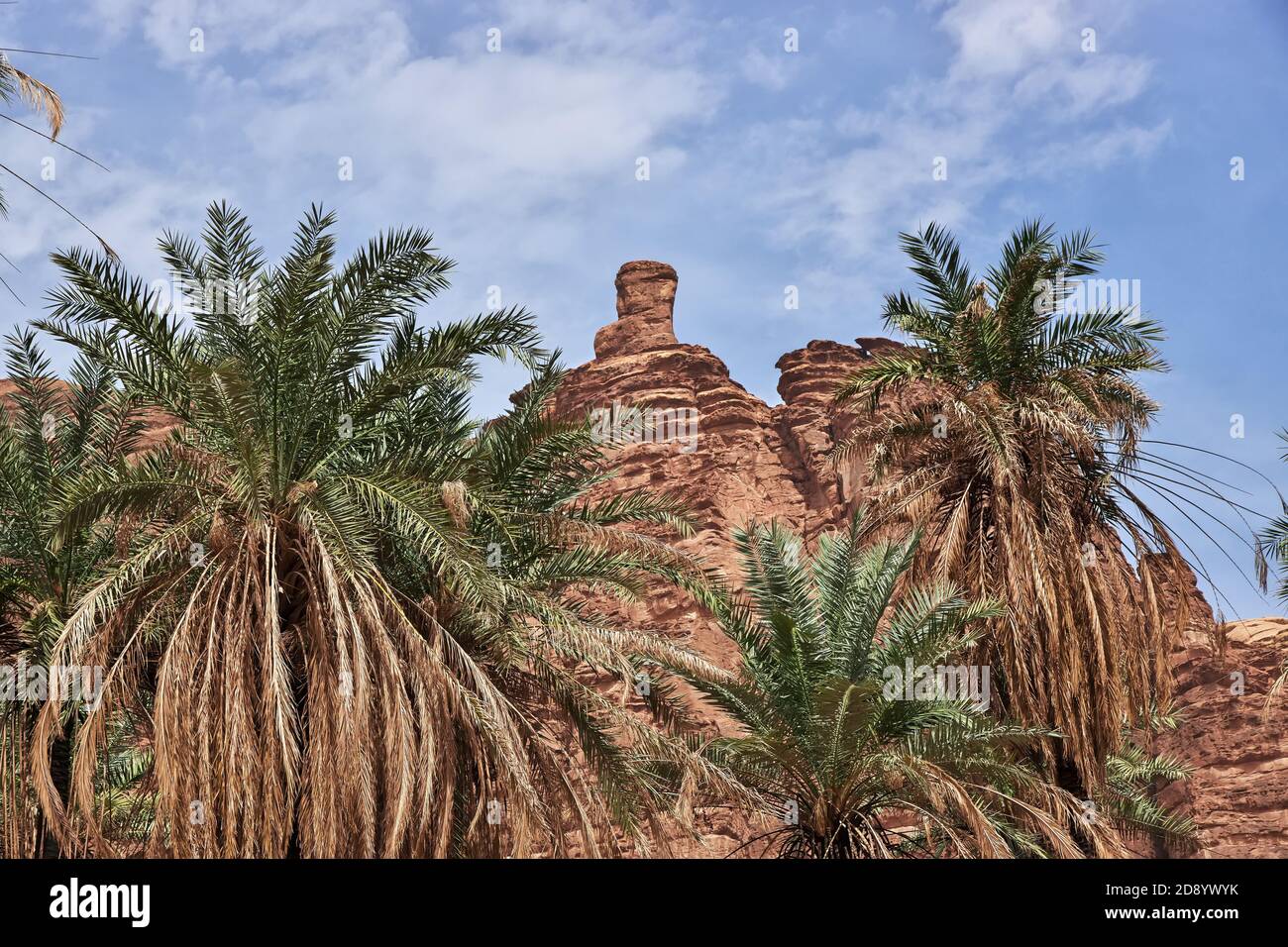 Wadi Disah, Al Shaq canyon, Saudi Arabia Stock Photo - Alamy