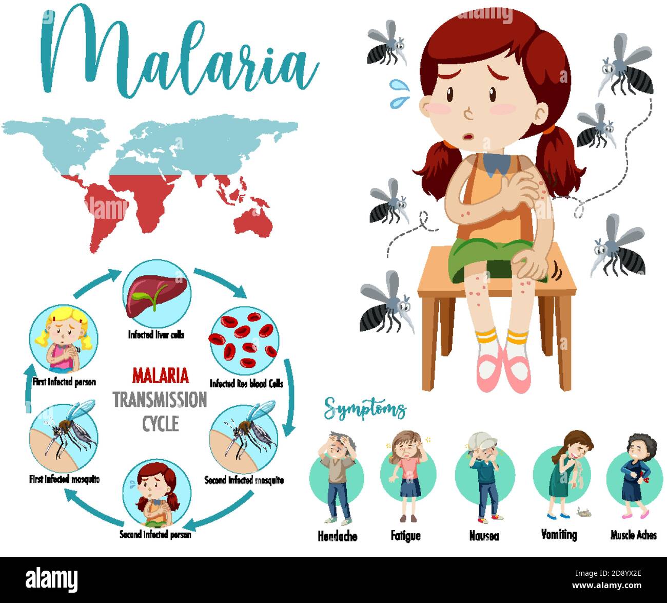 Malaria transmission cycle and symptom information infographic ...