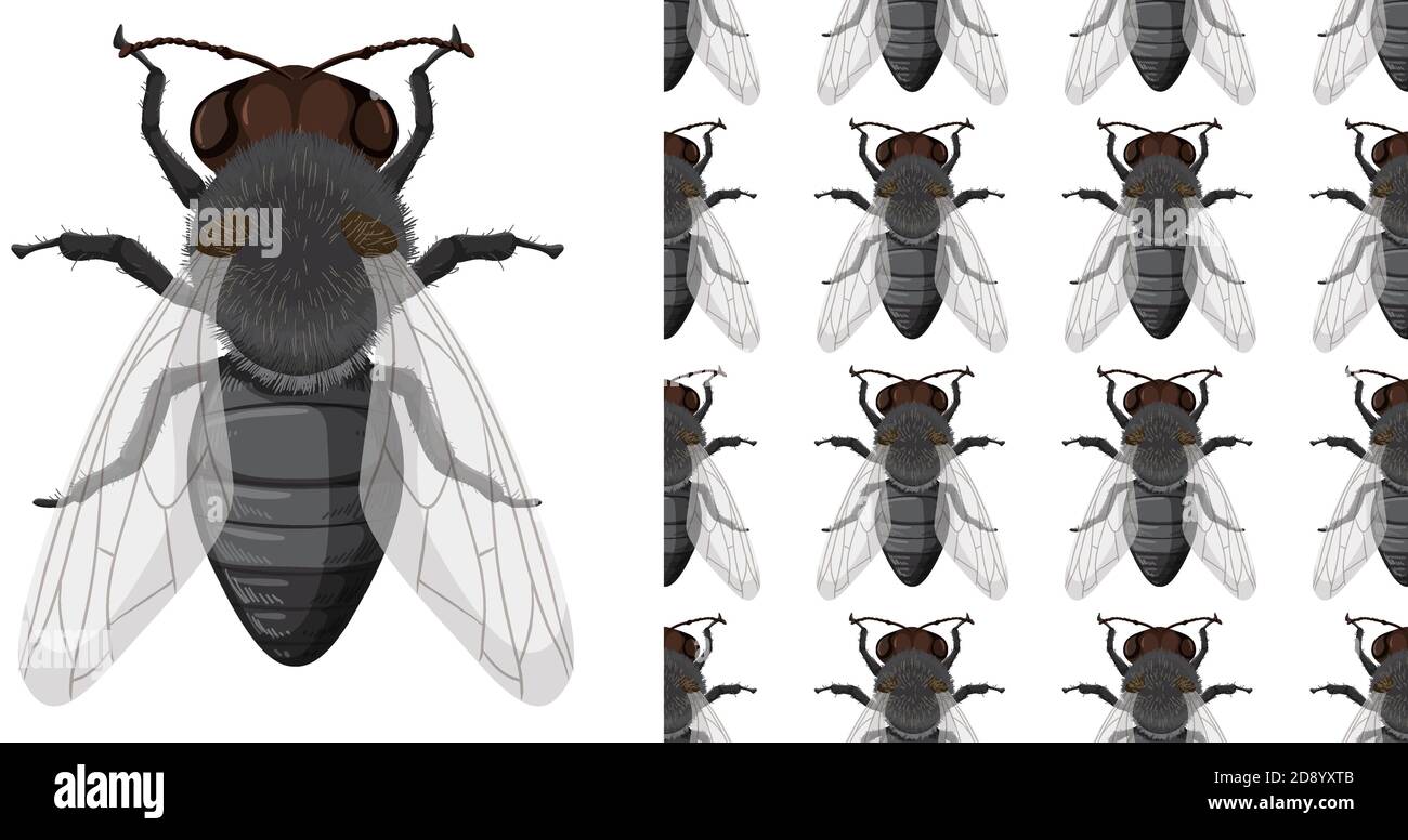 Fly insect and seamless background illustration Stock Vector Image ...