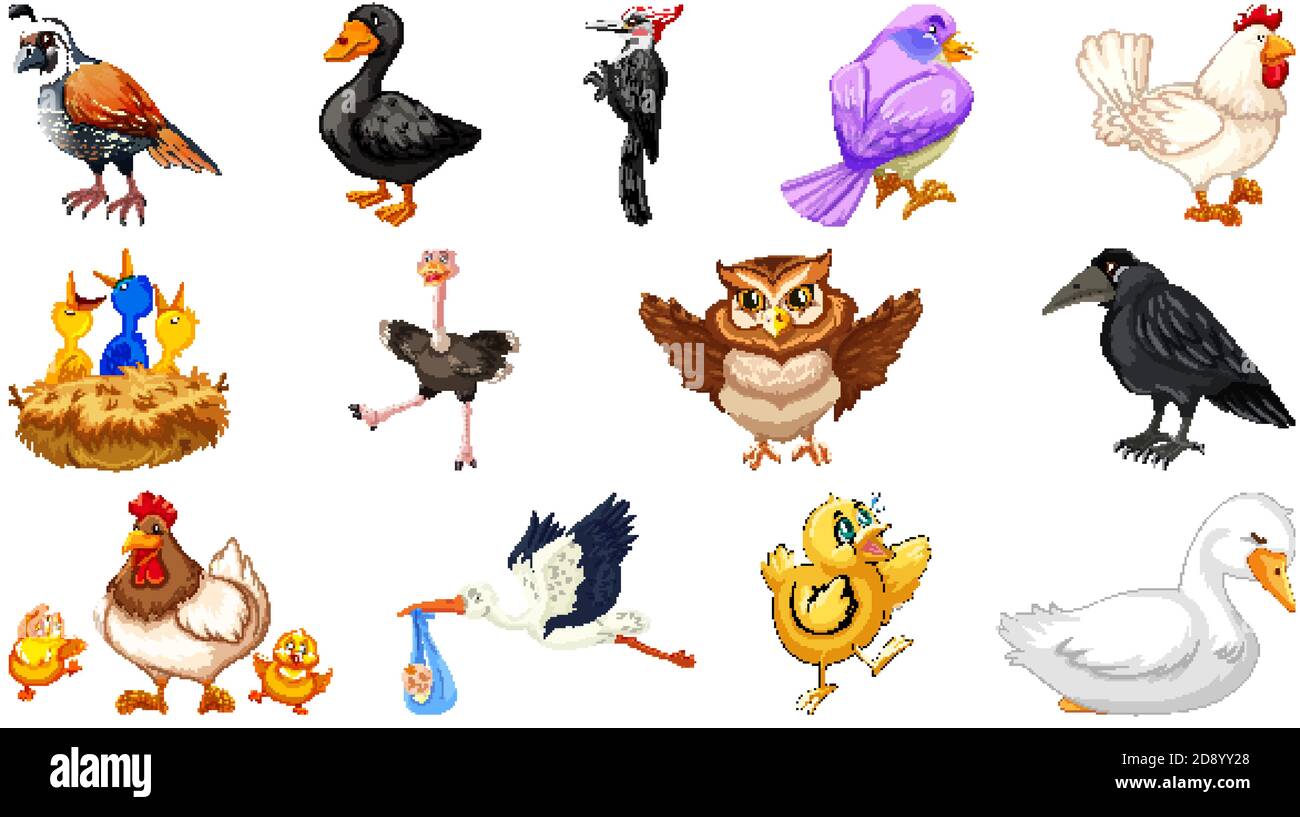 Set of different birds cartoon style isolated on white background ...