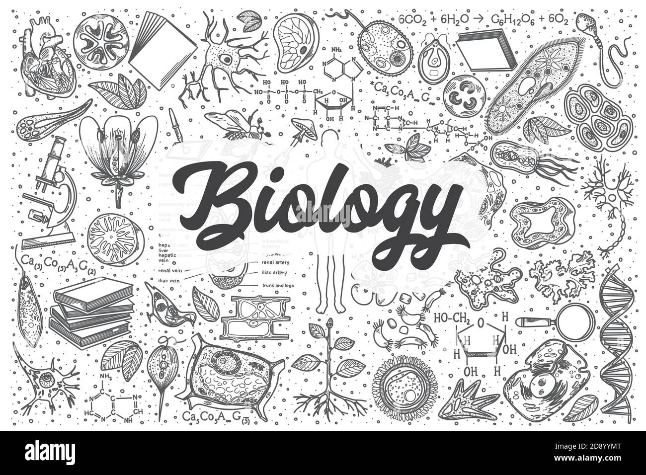 Hand drawn biology doodle set. Lettering - Biology Stock Photo - Alamy