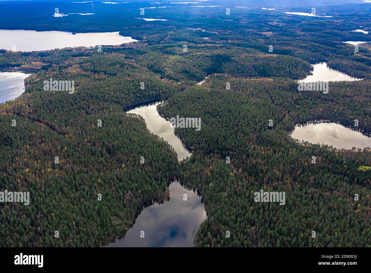 Finland landscape from the air with drone, lakes and pine forest. High ...