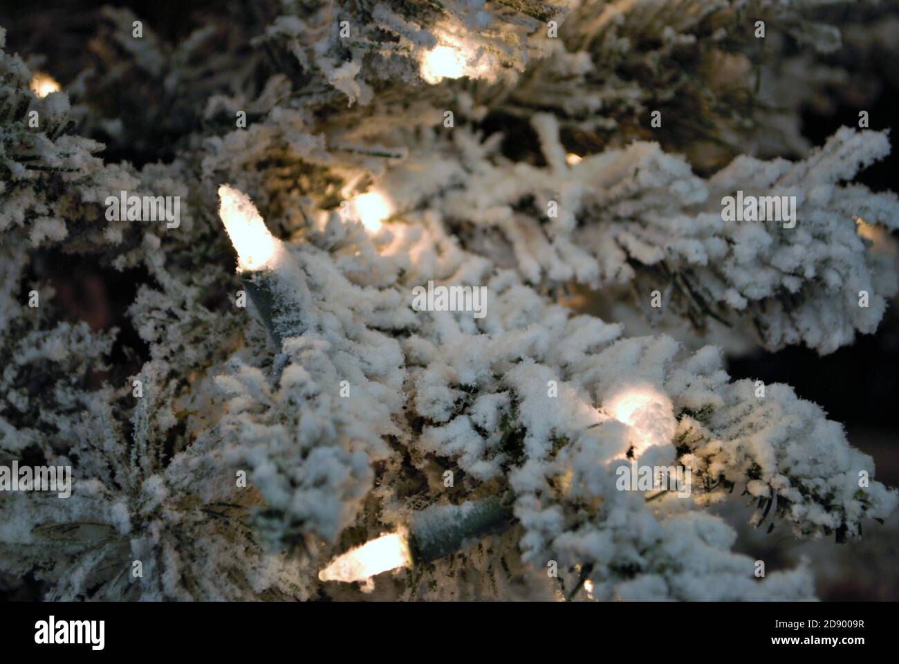 Christmas tree scene background with lights and frost covered branches ...