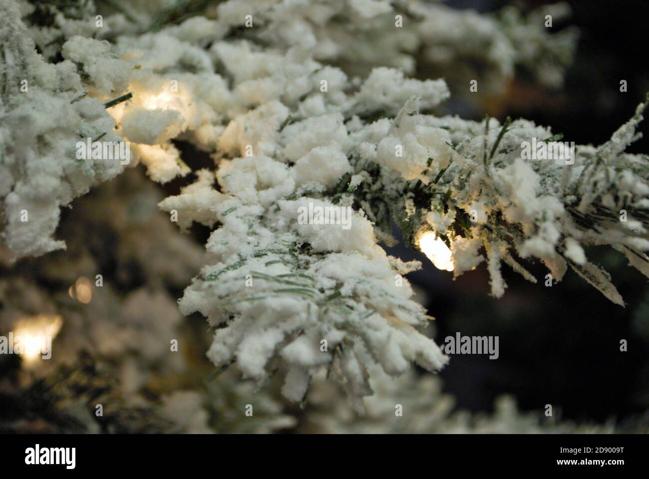 Christmas tree scene background with lights and frost covered branches ...
