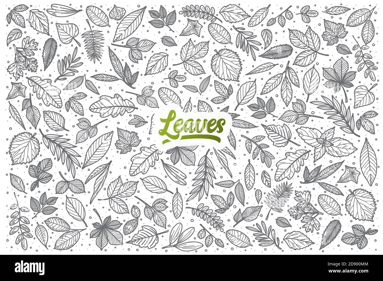 Summer lettering design in Cut Out Stock Images & Pictures - Alamy