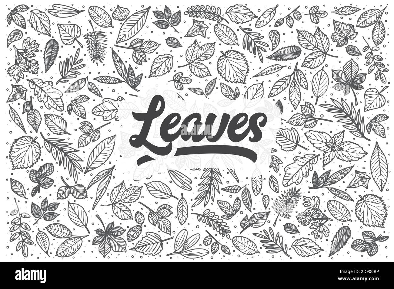 Hand drawn leaves doodle set. Lettering - Leaves Stock Photo - Alamy