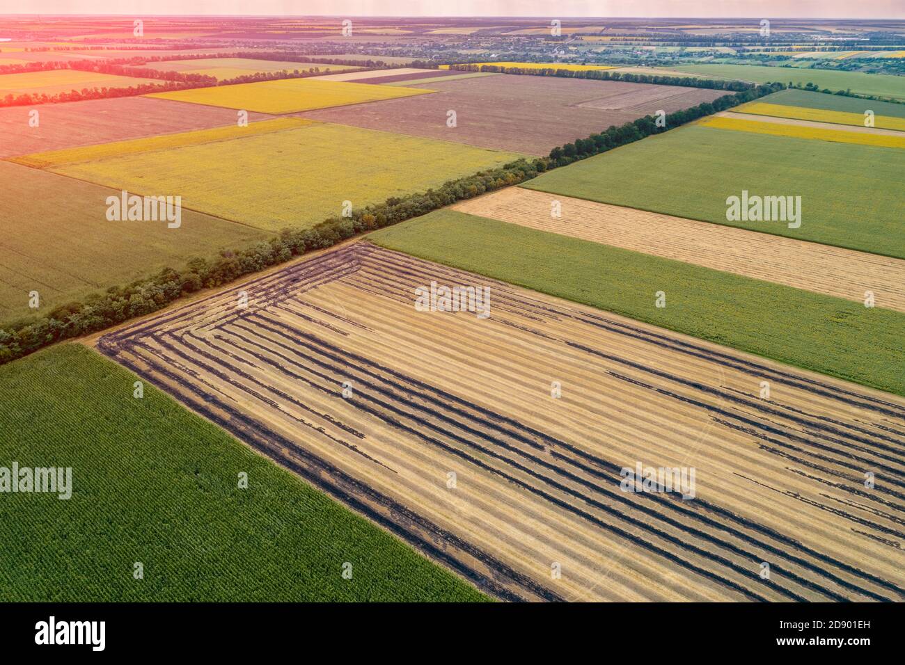 Rural landscape, aerial view. View of colorful arable fields in summer ...