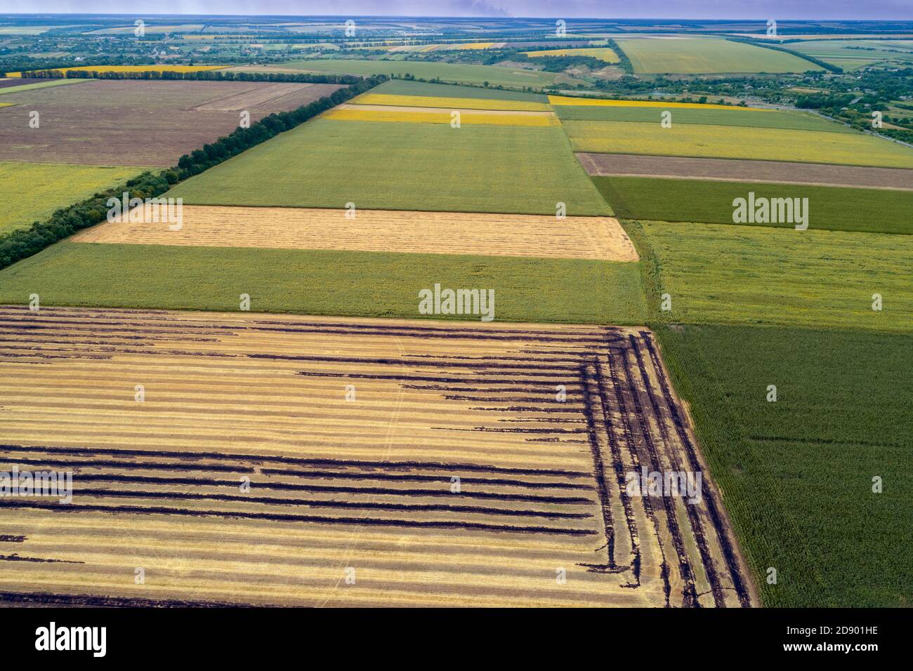 Aerial view orange plantation hi-res stock photography and images - Alamy