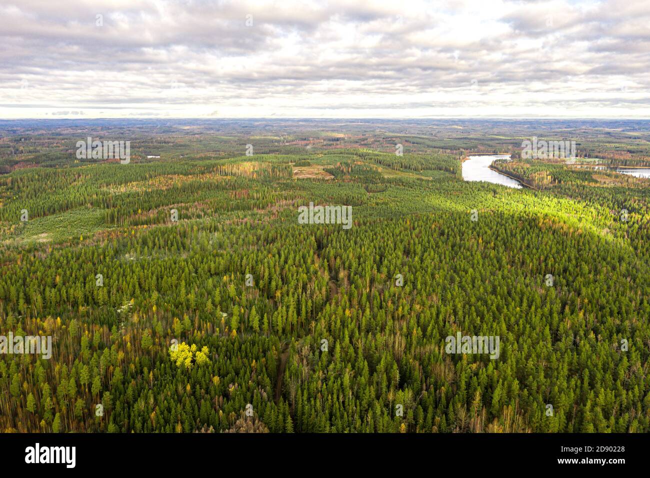 Finland landscape from the air with drone, lakes and pine forest. High ...