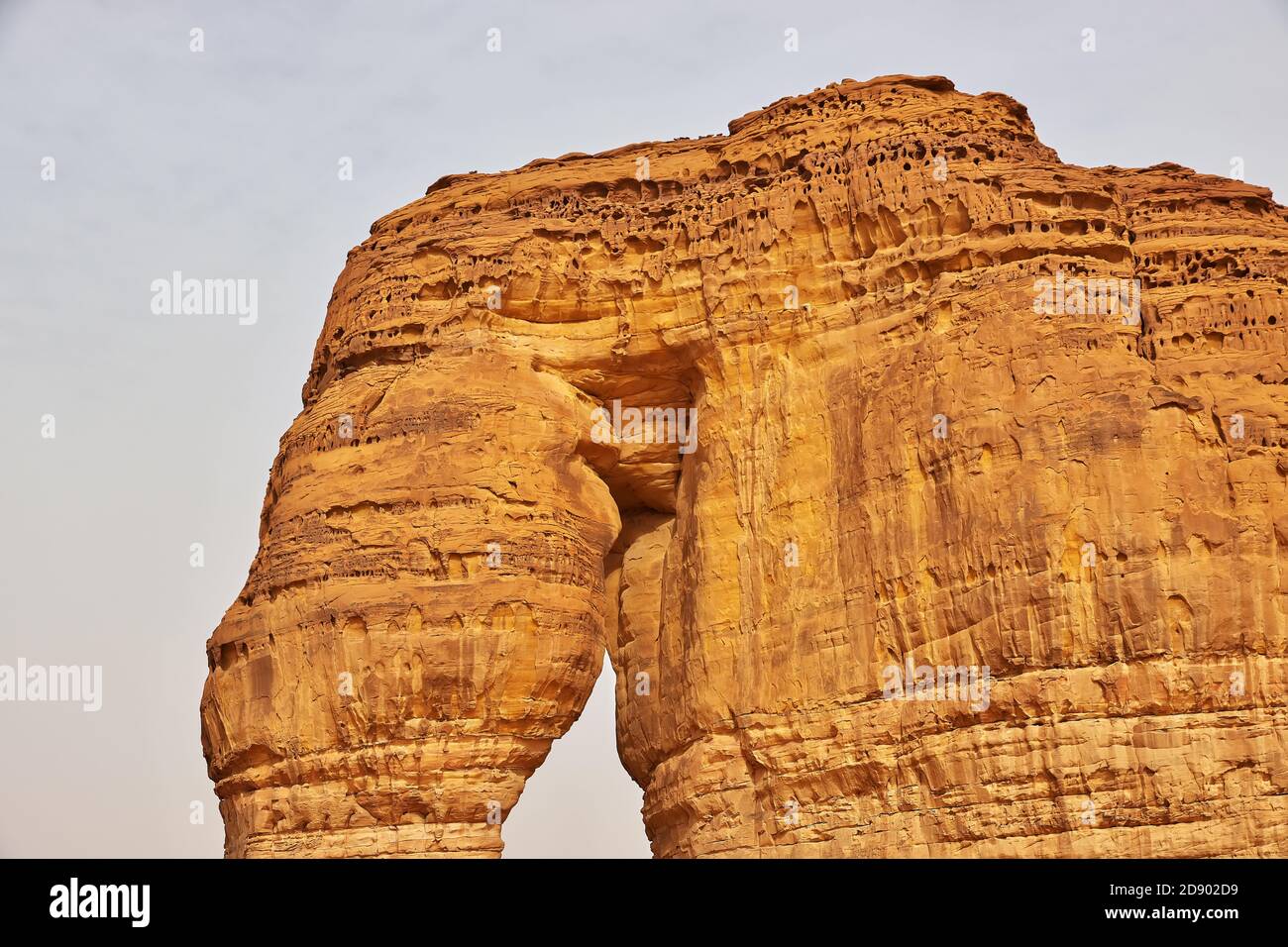 Stone Elephant in the desert close Al Ula, Saudi Arabia Stock Photo - Alamy
