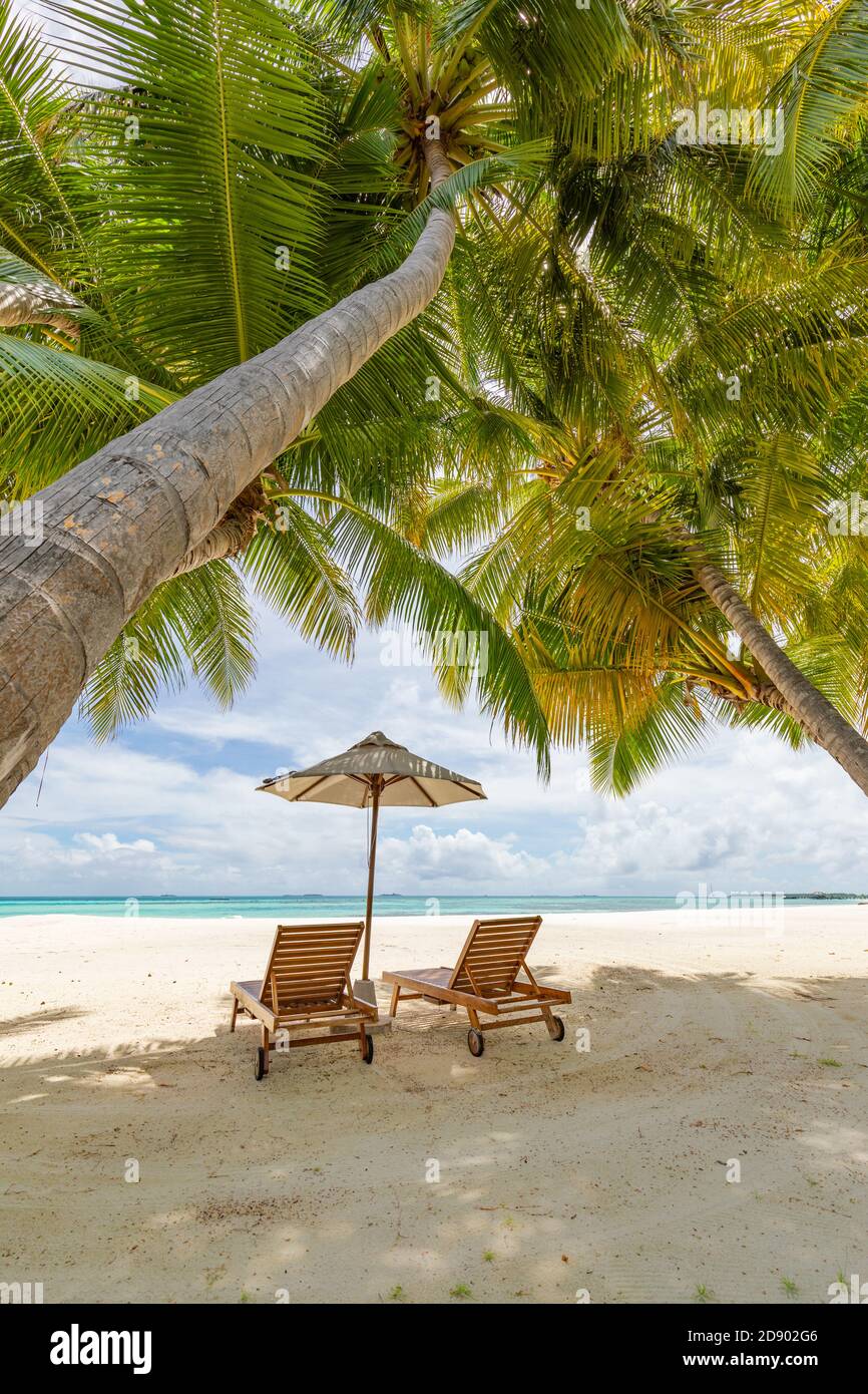 Two beach chairs on idyllic tropical white sand beach. Shadow from the ...