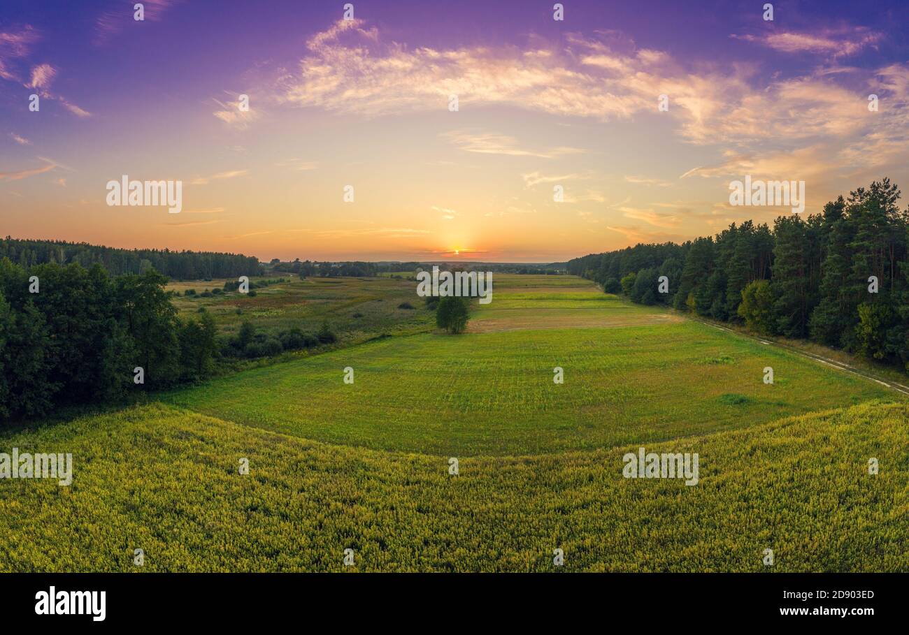 Burning Field Agriculture High Resolution Stock Photography and Images ...