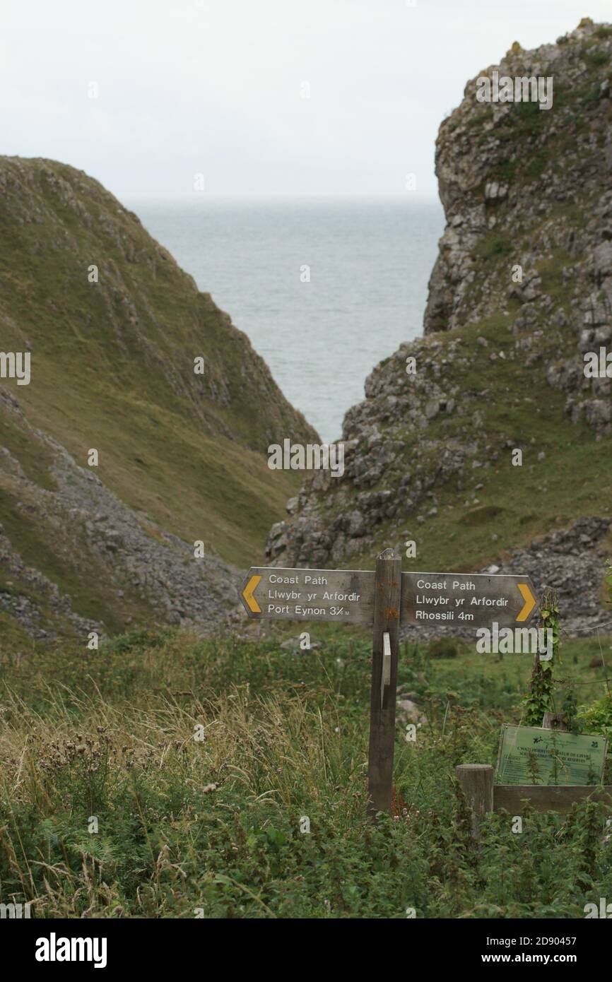 Coastal footpath on the Gower peninsula, Wales, UK Stock Photo - Alamy
