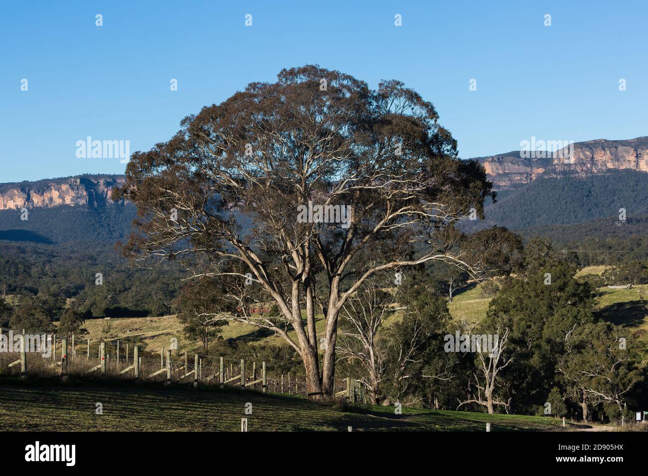 The Megalong Creek Estate, Blue Mountains Winery, Megalong Valley, NSW ...