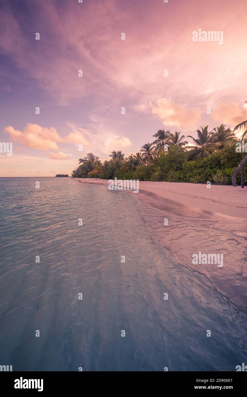 Vacation sunset at the beach. Palm trees sunset background. Waves ...