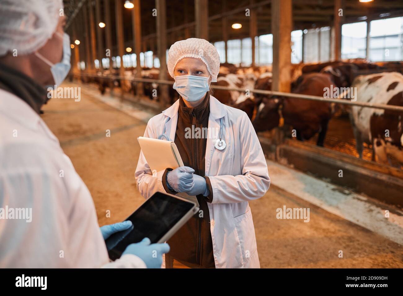Two animals talking hi-res stock photography and images - Alamy
