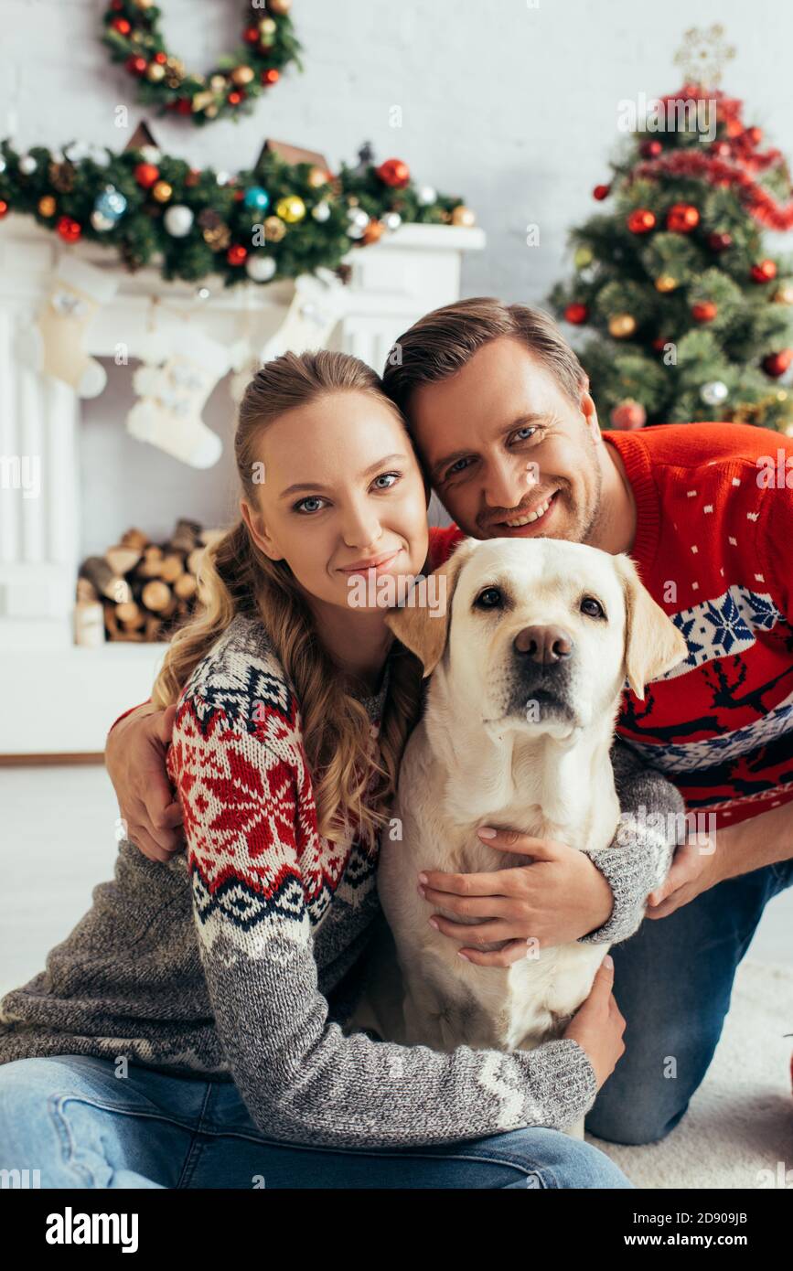 happy couple in knitted sweaters hugging labrador in decorated ...