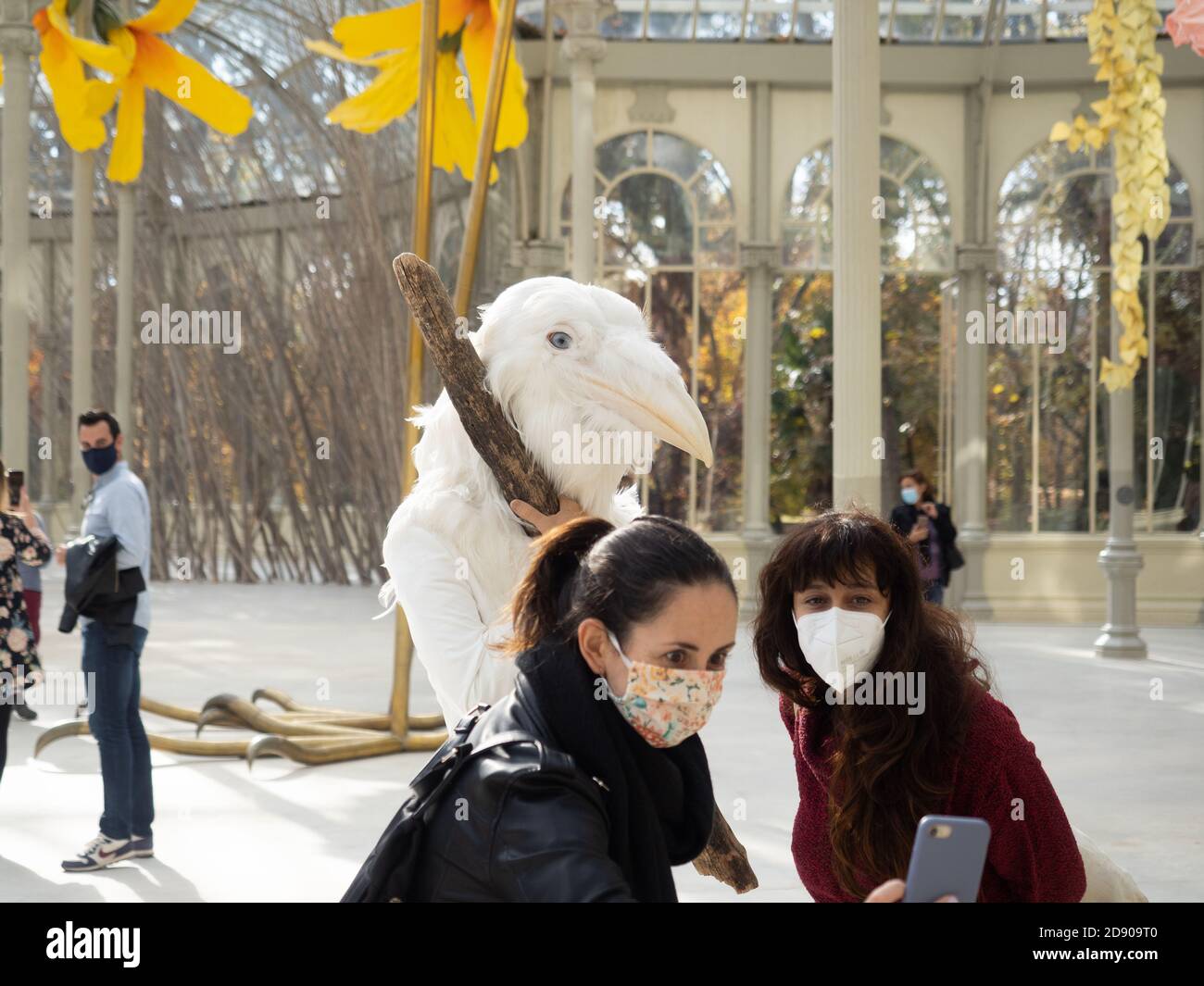 Raven building nest hi-res stock photography and images - Alamy