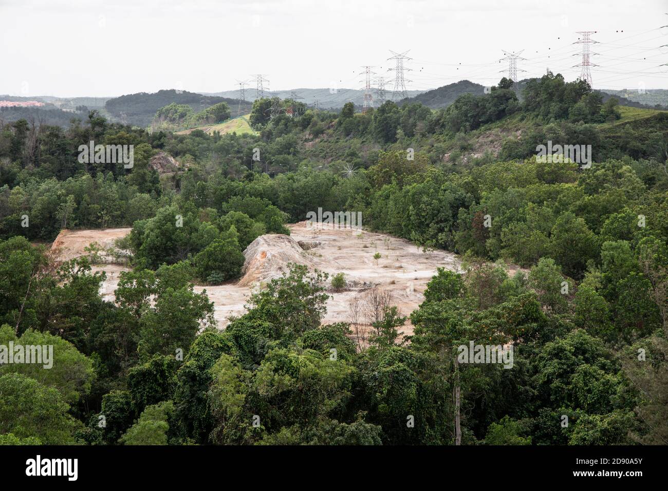 Forest clearing aerial view hi-res stock photography and images - Alamy