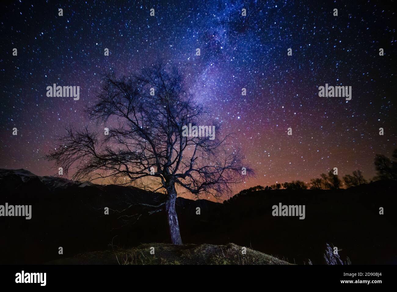 Night sky with milky Way and alone tree on mountain landscape Stock ...