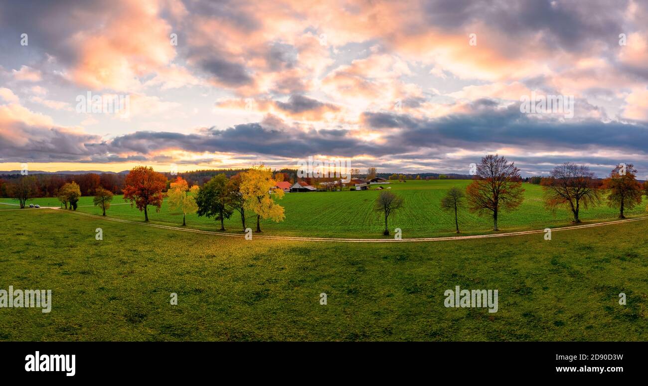 Autumn mood at sunset behind a row of fall colored trees with the ...