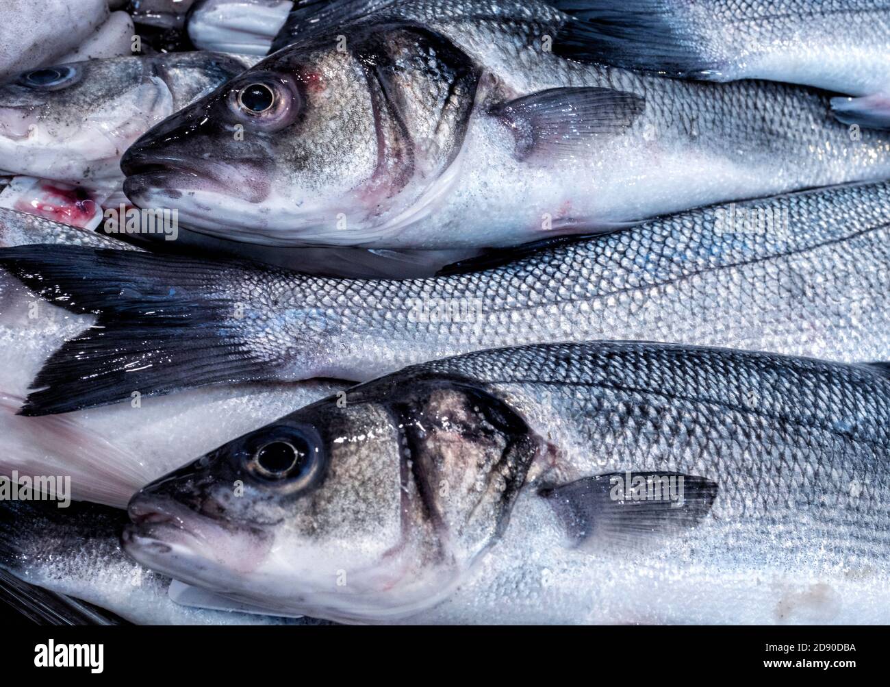 Cadiz fish market hi-res stock photography and images - Alamy