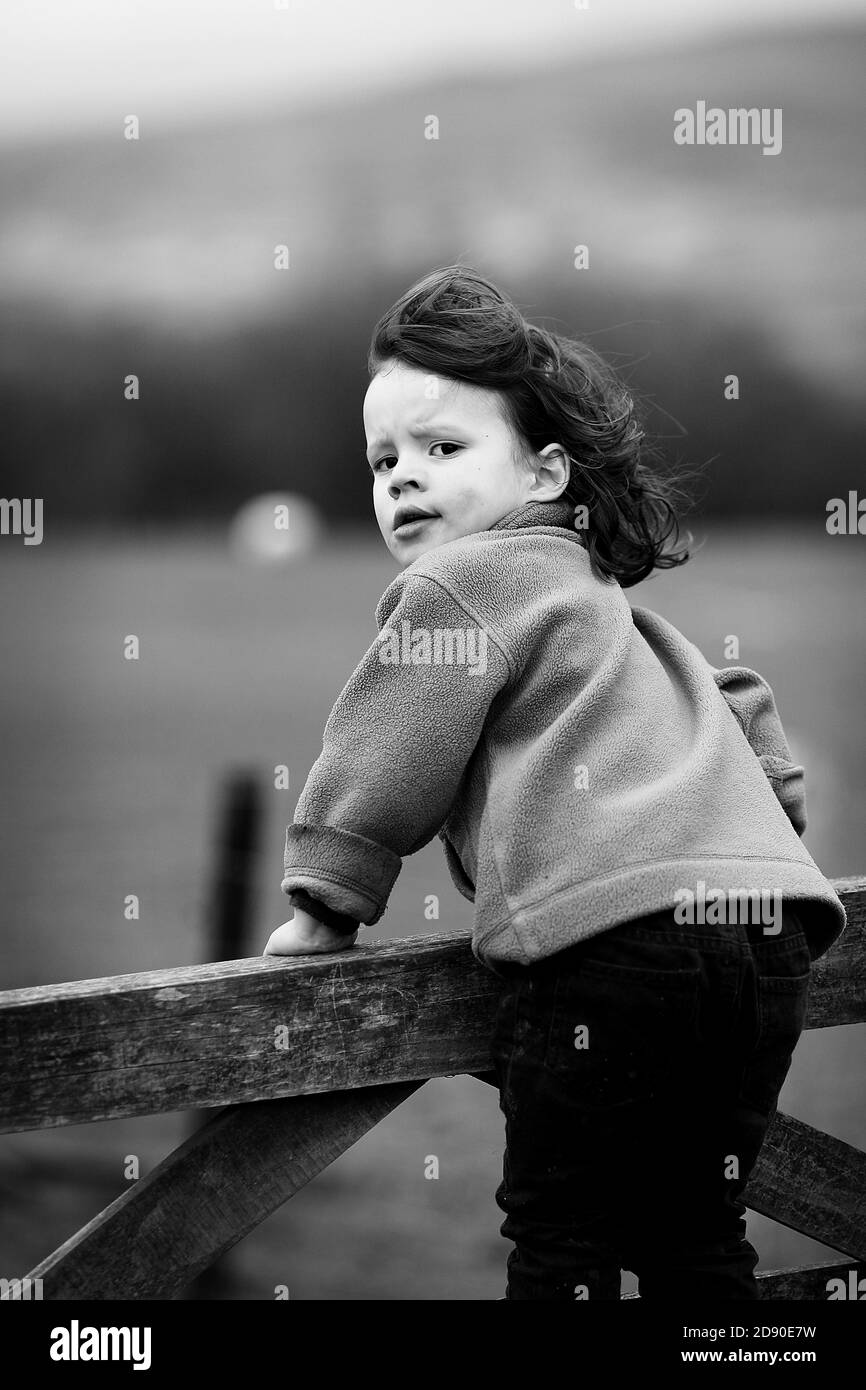 Welsh farm gate Black and White Stock Photos & Images - Alamy