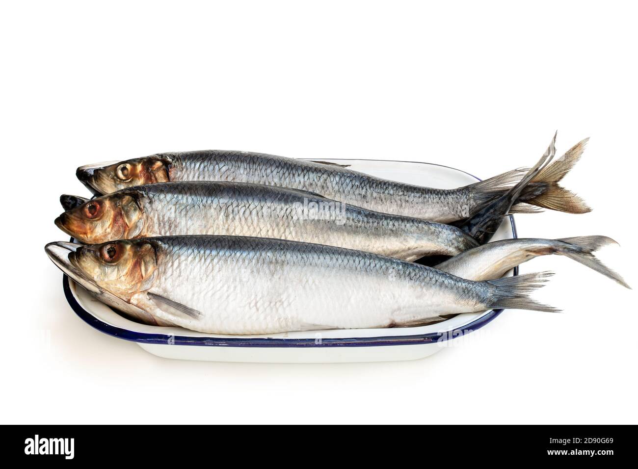 Raw herring fish hi-res stock photography and images - Alamy