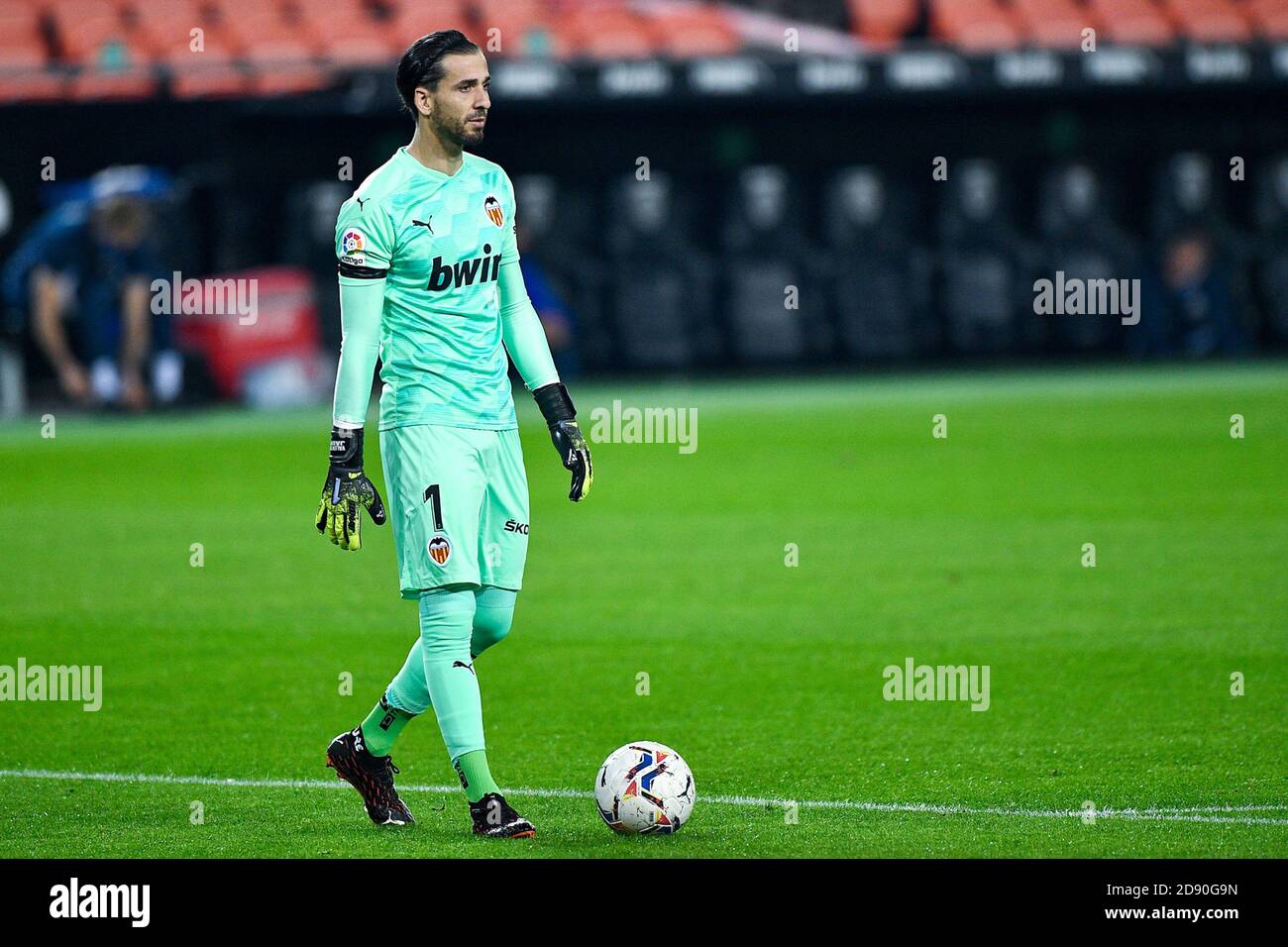 VALENCIA, SPAIN - NOVEMBER 01: goalkeeper Jaume Domenech of Valencia CF ...