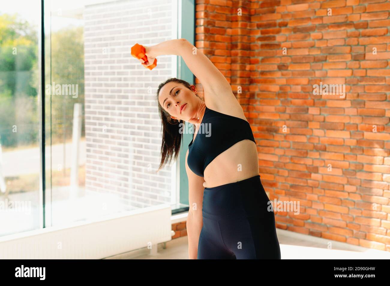 The brunette in the gym shakes the muscles of the arms with dumbbells ...