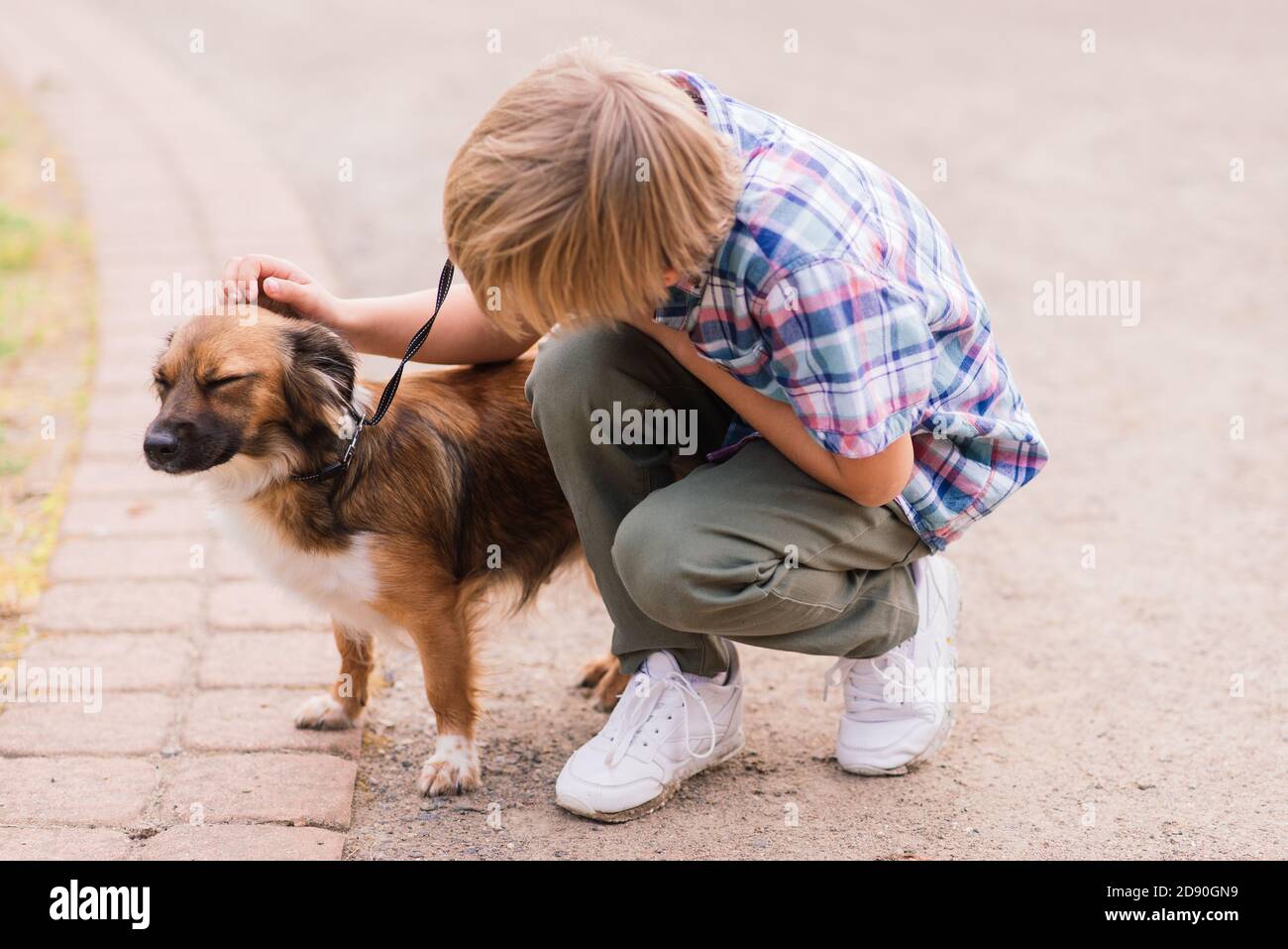 Cute boy playing and walking with his dog in the meadow Stock Photo - Alamy