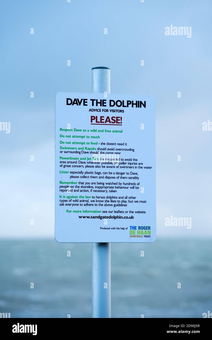 Warning sign about solitary dolphin, Dave in Sandgate, Kent, UK Stock ...