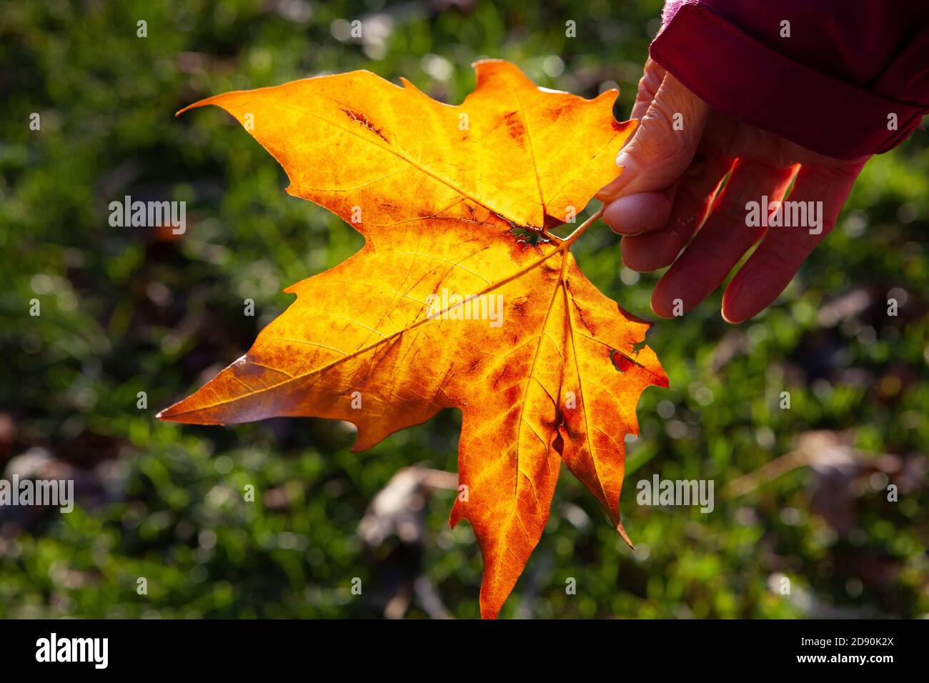 Anna watson hi-res stock photography and images - Alamy