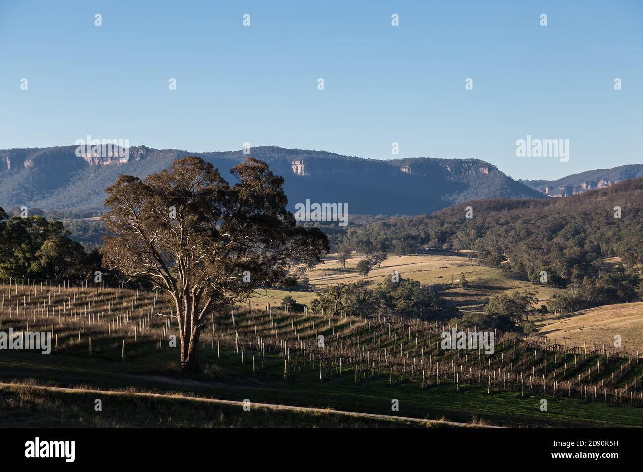 The Megalong Creek Estate, Blue Mountains Winery, Megalong Valley, NSW ...