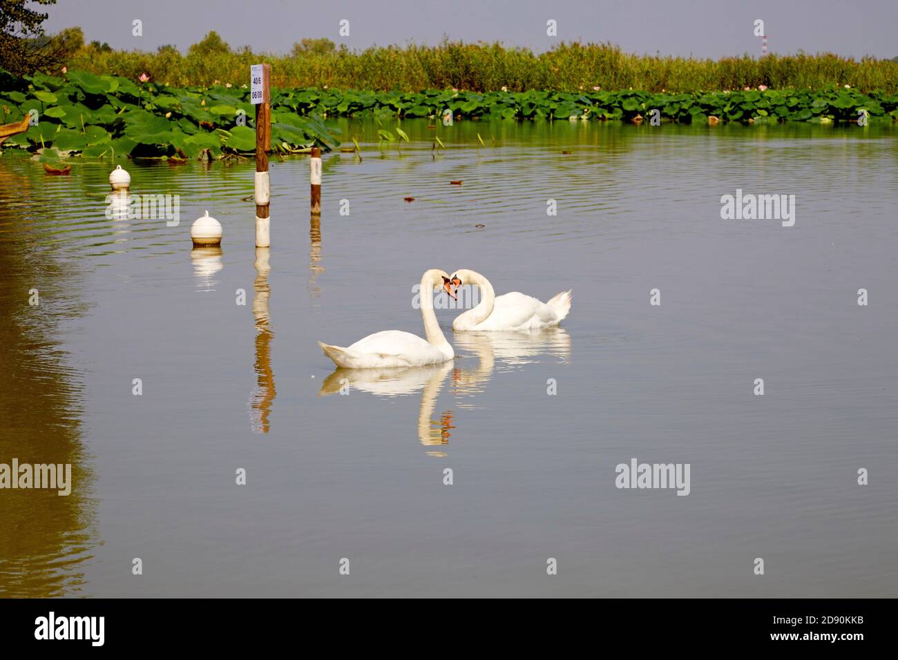 Strong splash hi-res stock photography and images - Alamy