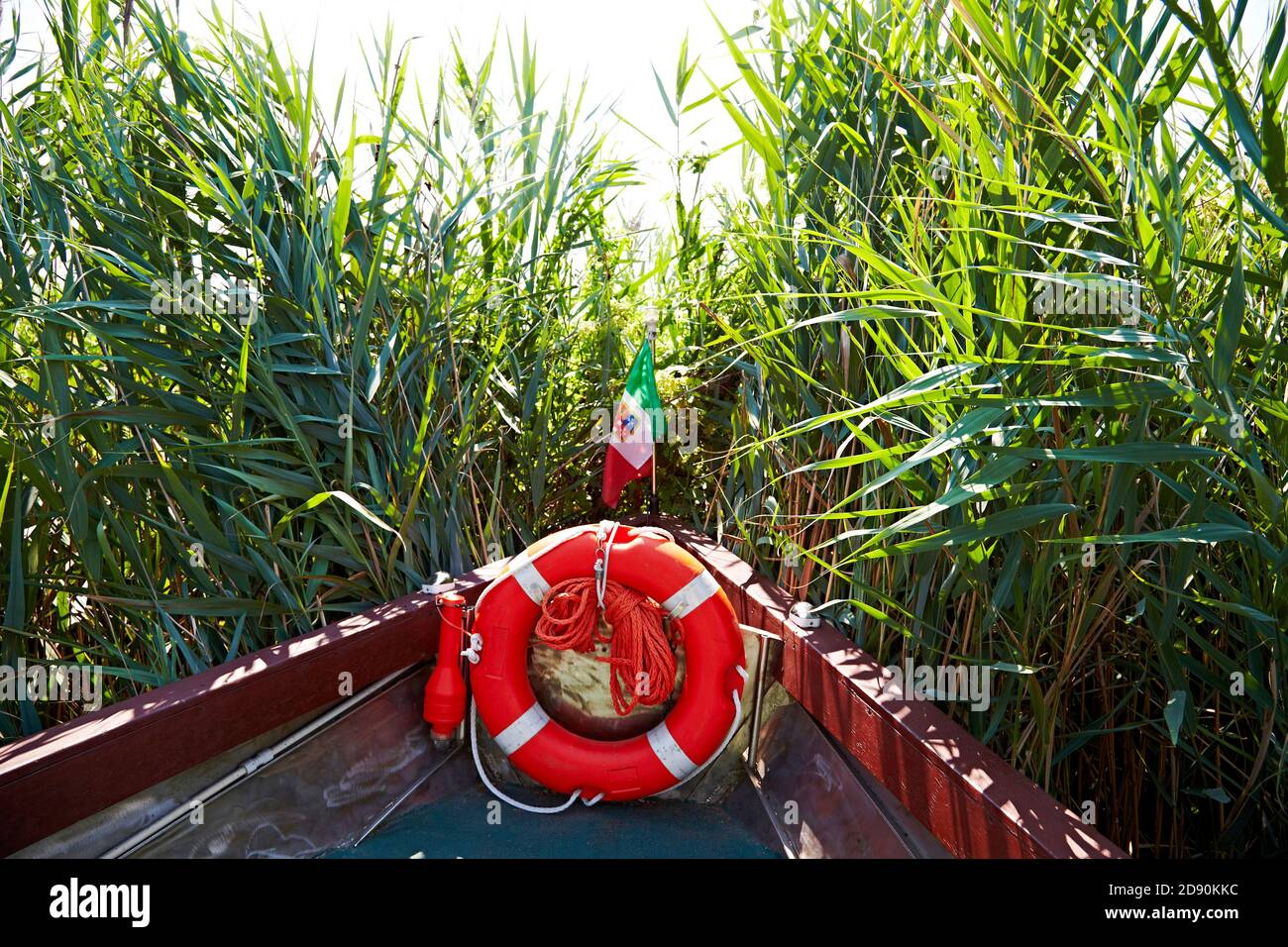 path with the boat in the canal with bamboo canes Stock Photo - Alamy