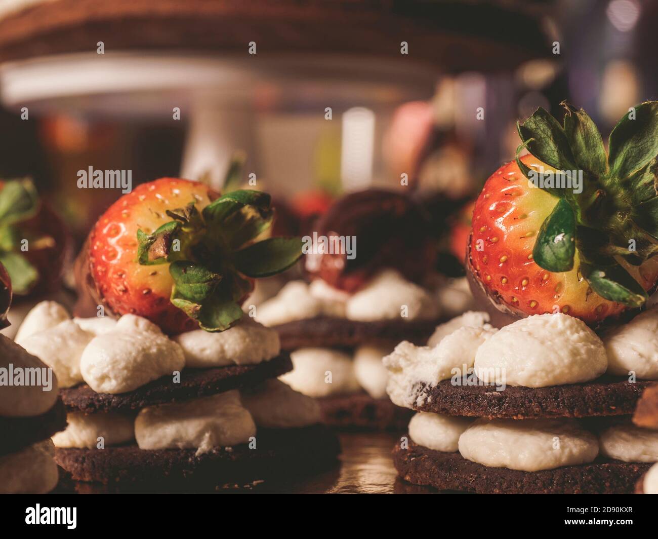 round pastries with biscuit, chocolate filled with cream and decoration ...
