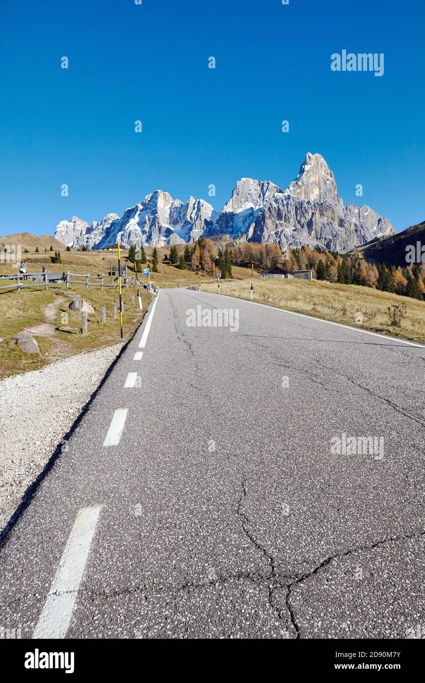 road that crosses the Paneveggio Park in Trentino Alto Adige with a ...
