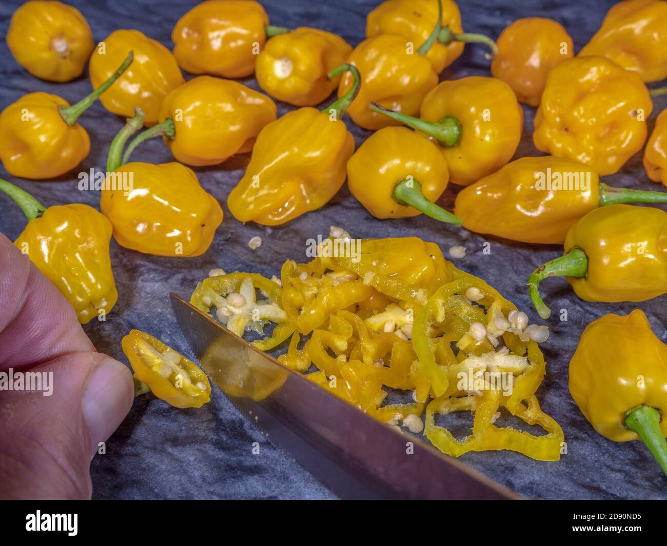 Closeup POV shot of a man's hand holding one of a batch of ripe ...