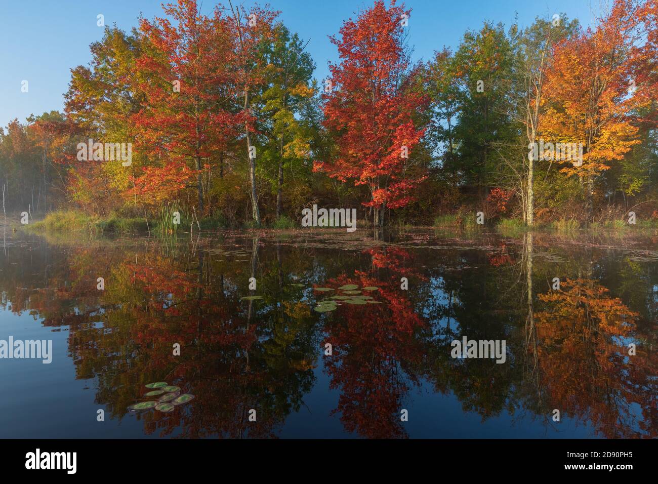 Autumn on a wilderness lake in northern Wisconsin Stock Photo - Alamy