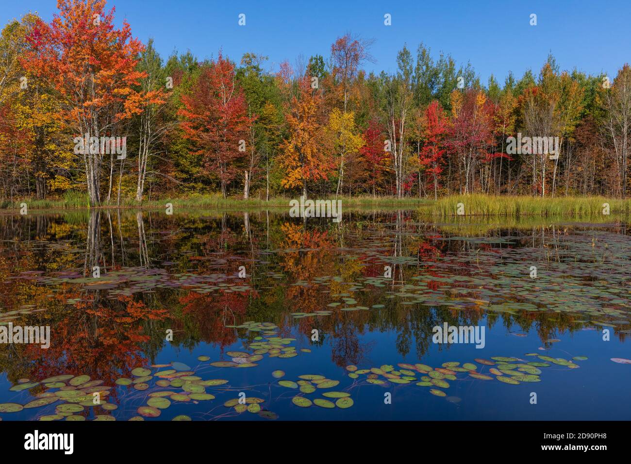 Autumn on a wilderness lake in northern Wisconsin Stock Photo - Alamy