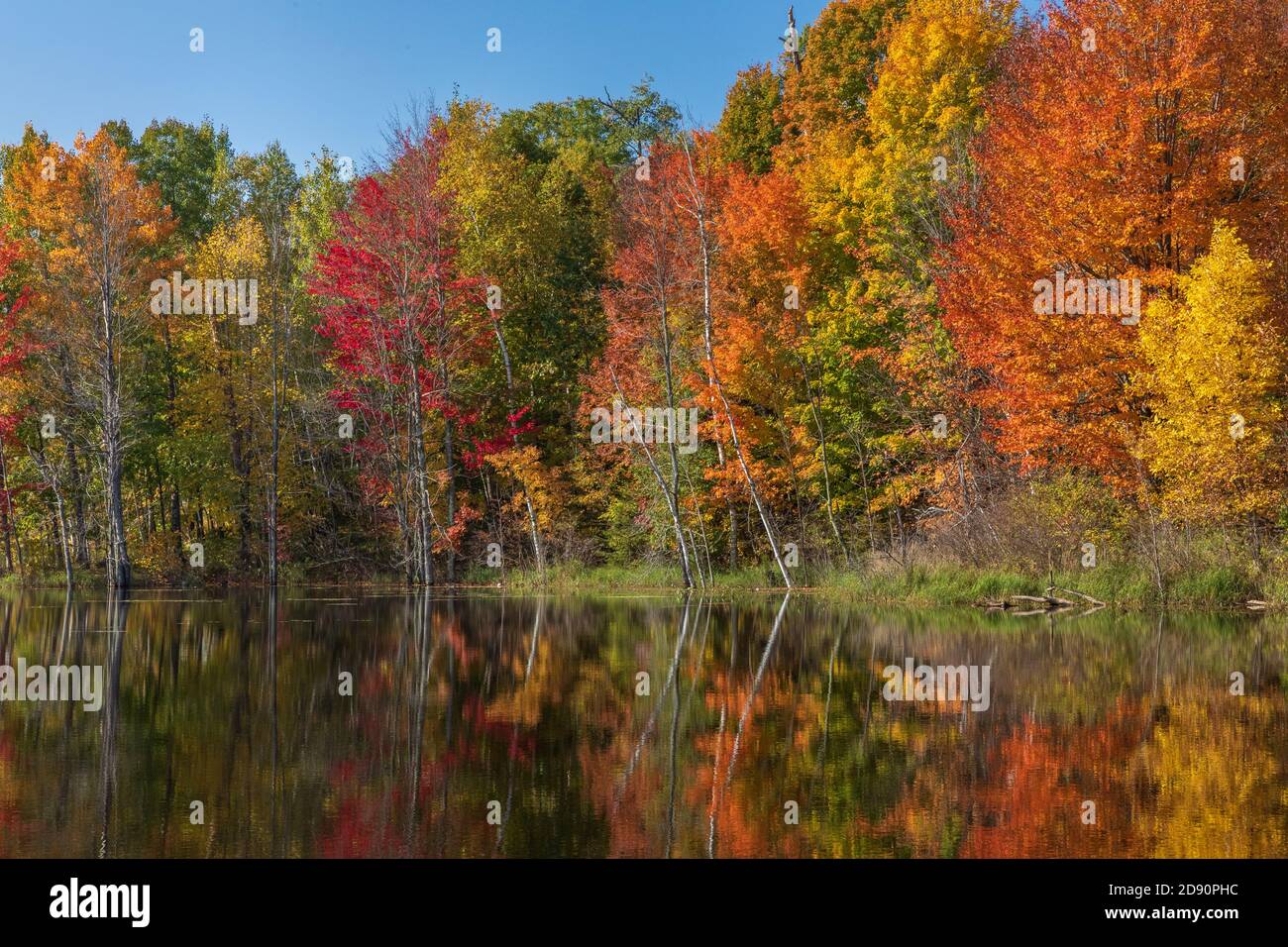 Autumn on a wilderness lake in northern Wisconsin Stock Photo - Alamy