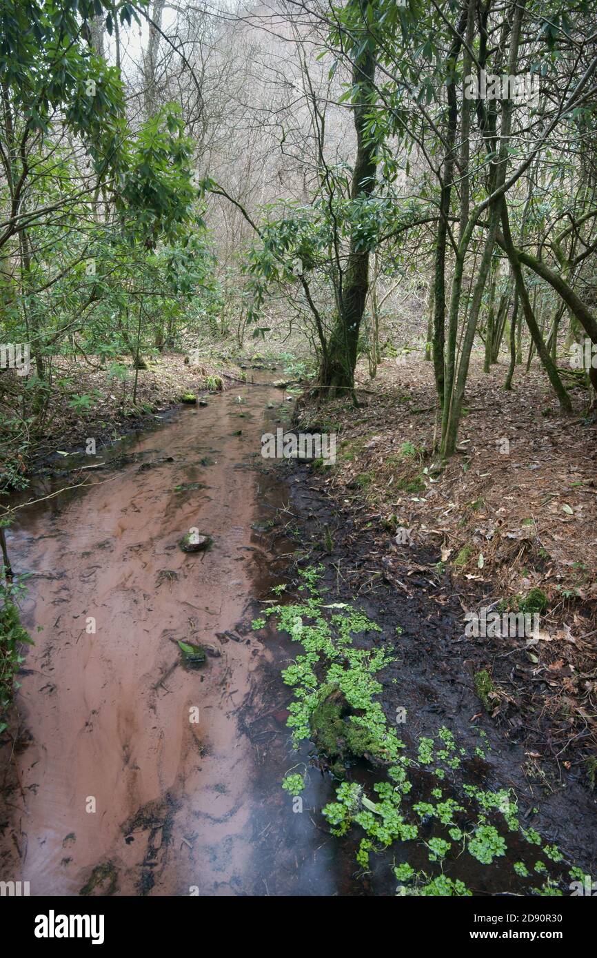 Craig y nos country park walking hi-res stock photography and images ...