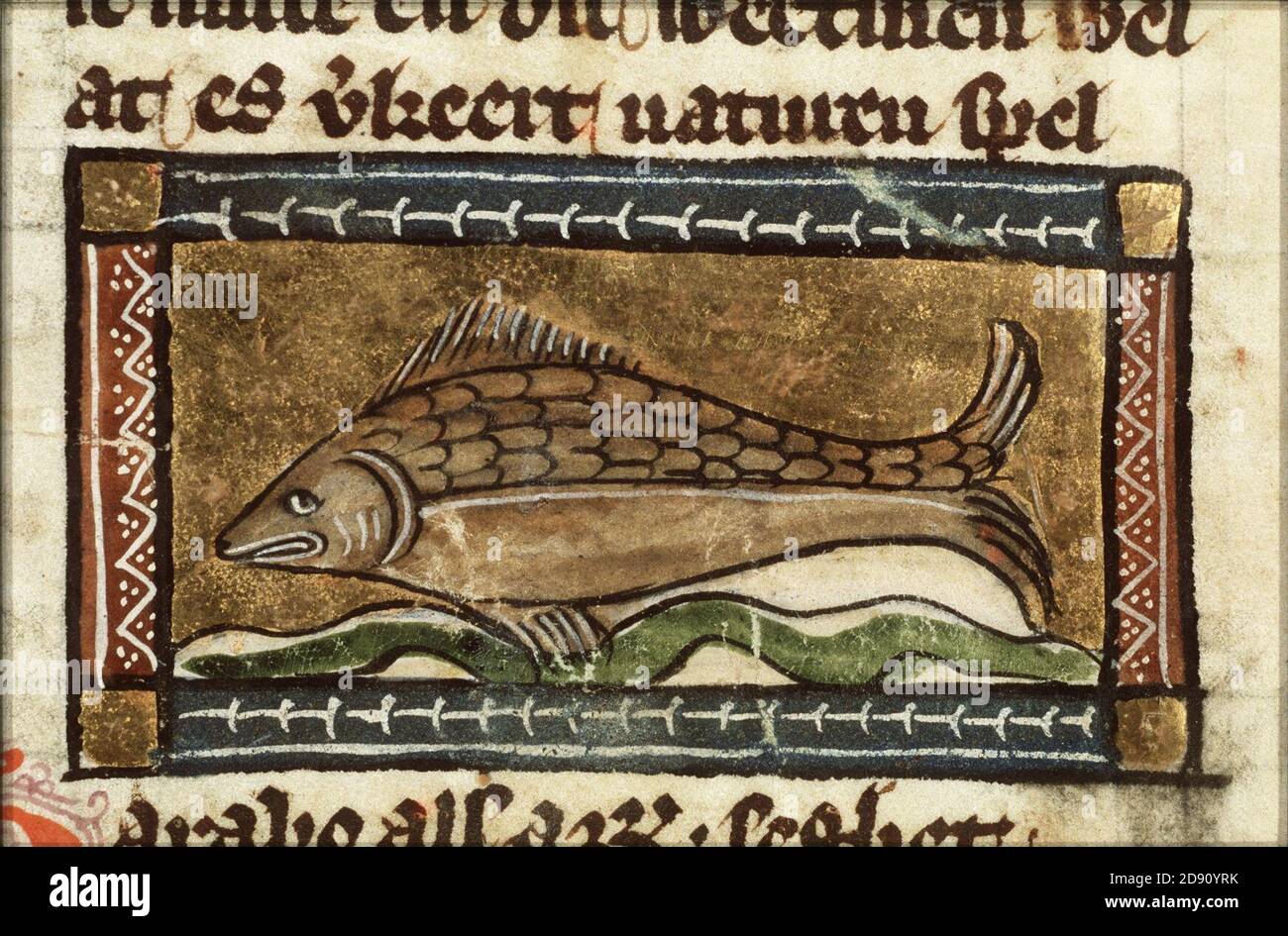 Karabo (crayfish) - Der naturen bloeme - Jacob van Maerlant - KB KA 16 ...