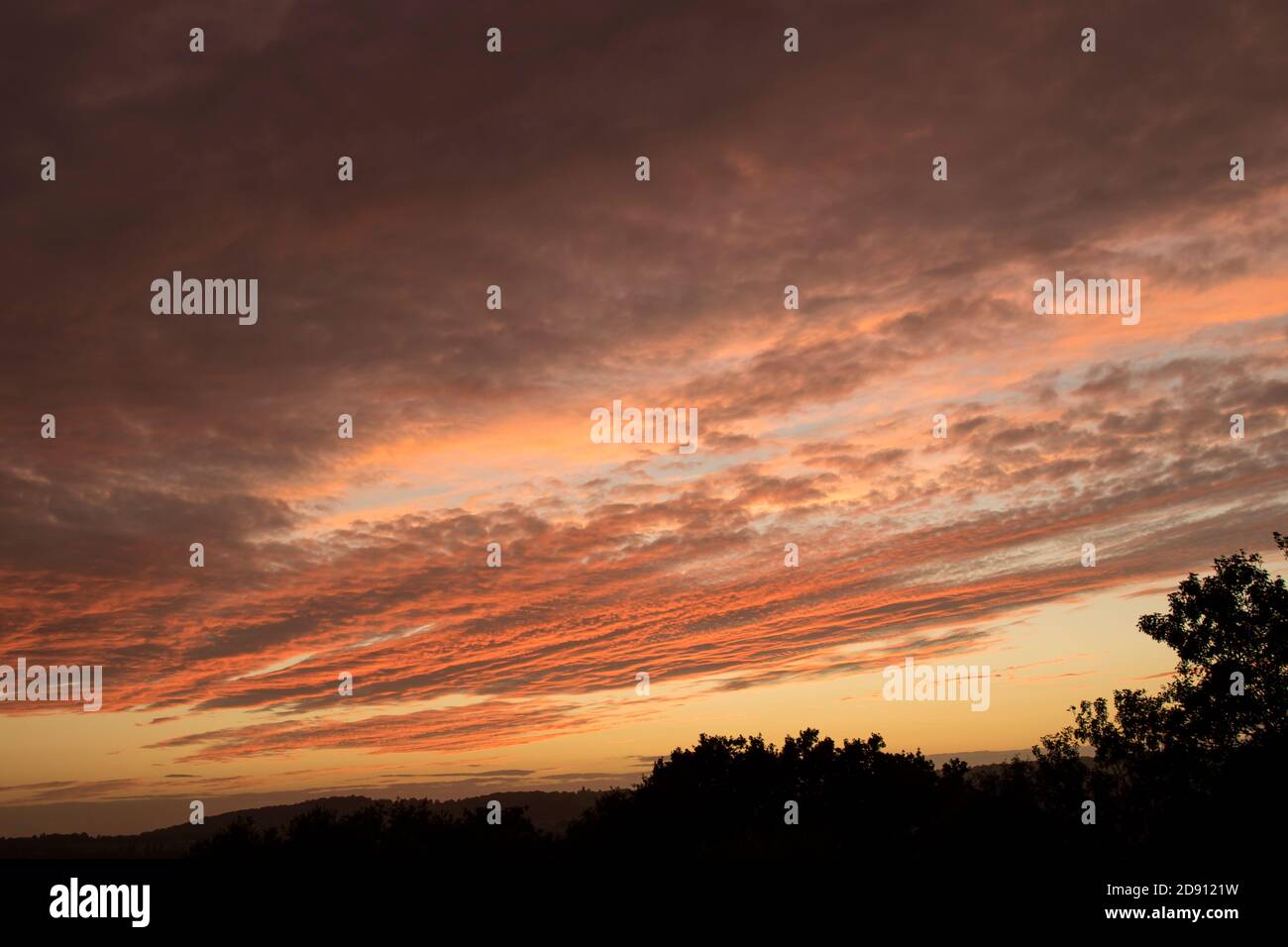Dramatic UK sunset on a tree-lined horizon with tones of orange and ...