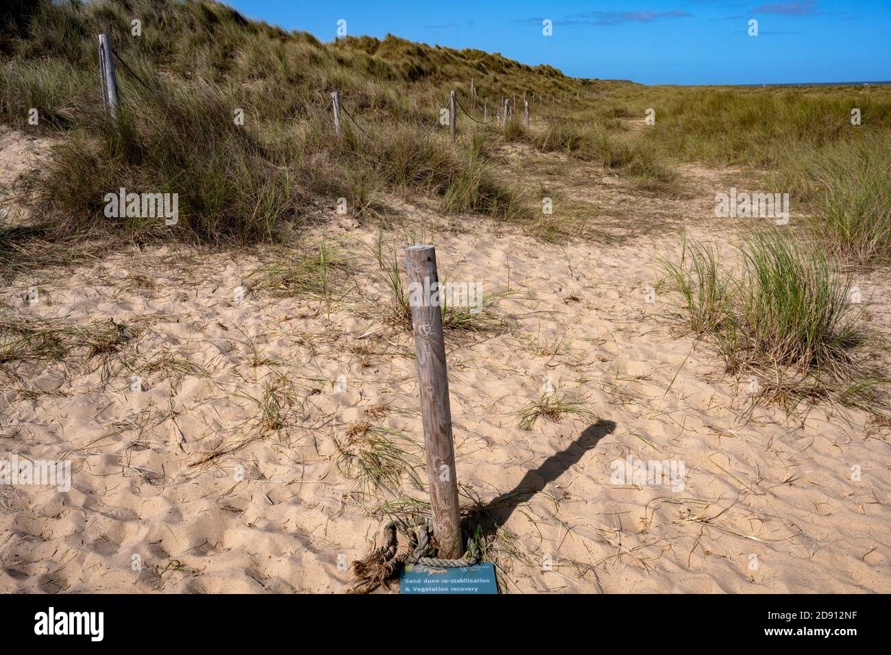 Dune stabilisation hi-res stock photography and images - Alamy