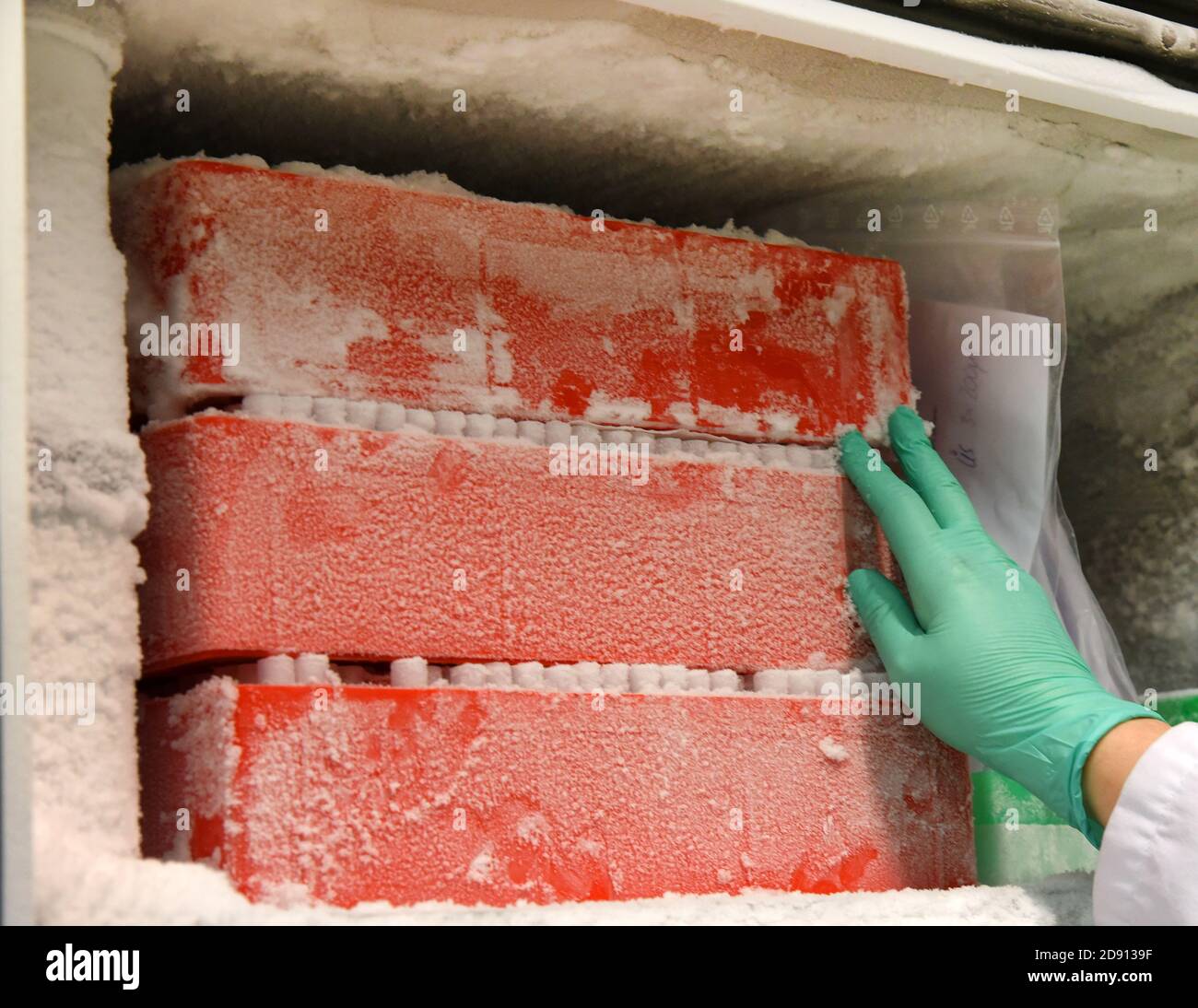 Leipzig, Germany. 28th Oct, 2020. In a laboratory in the Institute of ...