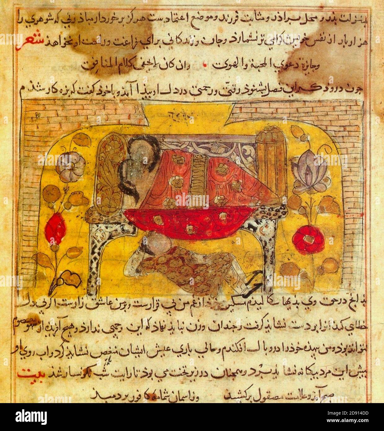 Dimna hi-res stock photography and images - Alamy