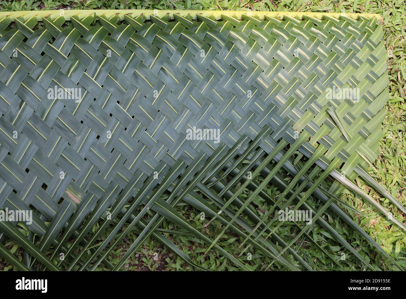 Traditional creation from coconut branches. Gently knitted coconut ...