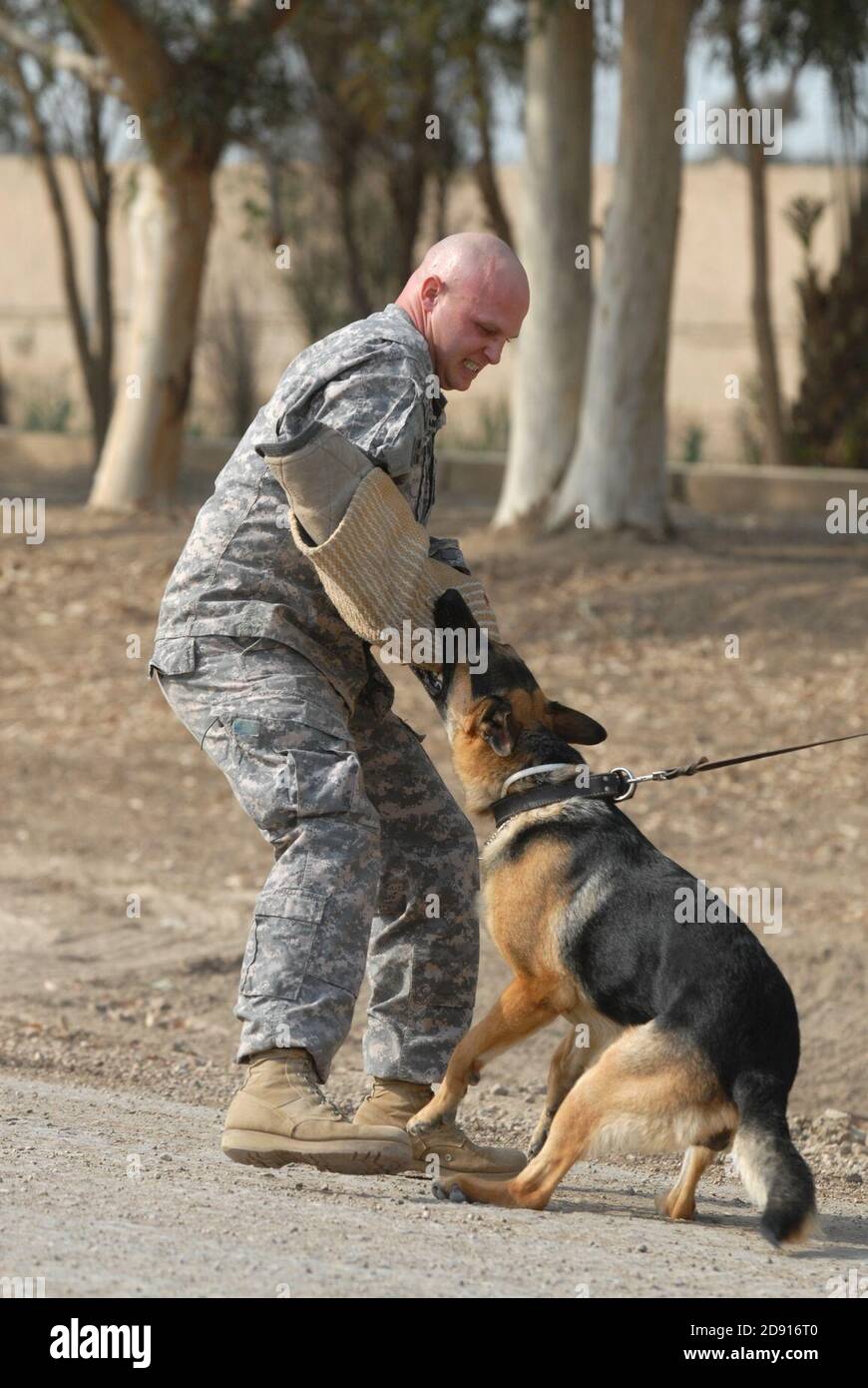 K-9 Patrol Training in Baghdad, Iraq Stock Photo - Alamy